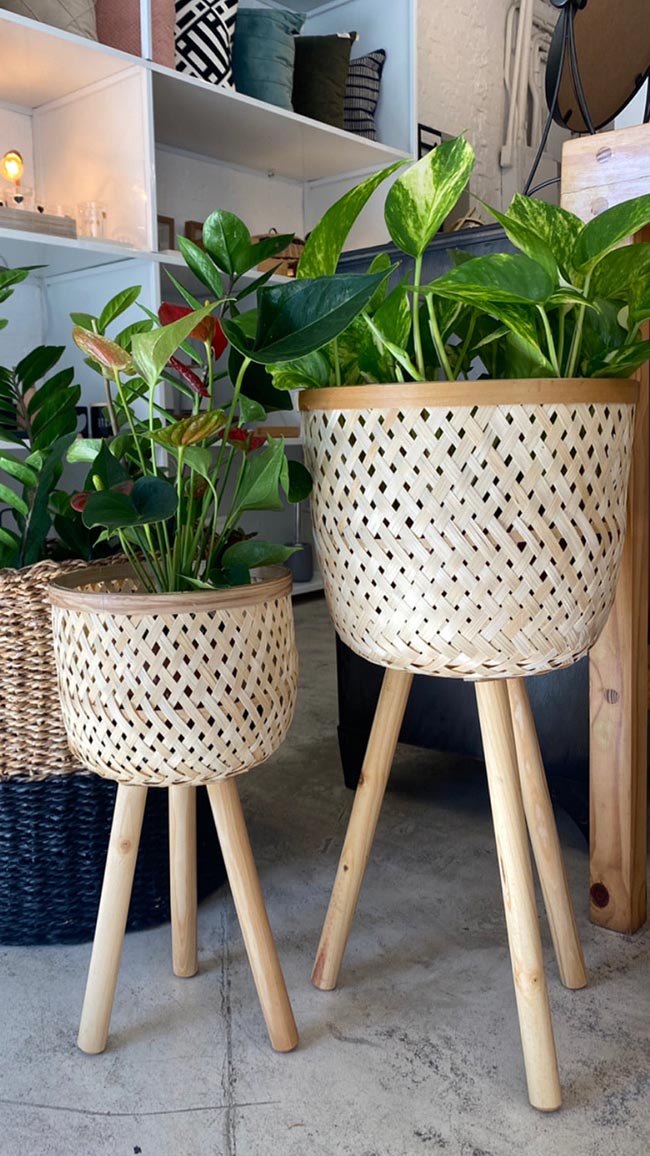 87+ Cachepot de Madeira para Plantas (Modelos)