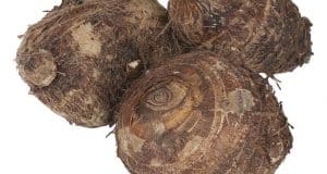 Como Plantar Inhame? Dicas de Cultivo e Passo a Passo de Cuidados