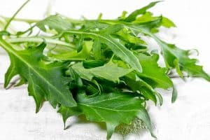 Como Plantar Rúcula? Cuidados com Eruca vesicaria ssp. sativa