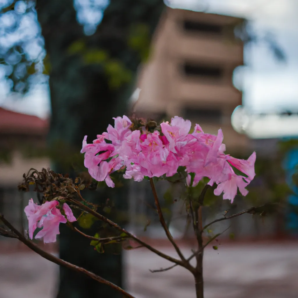 Descubra o Passo a Passo para Plantar Ipê Rosa