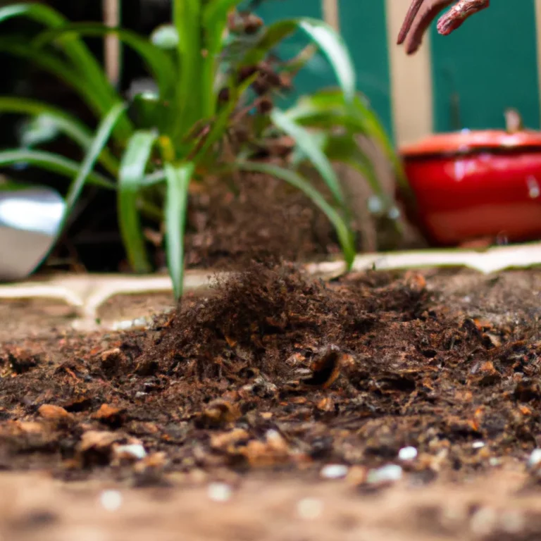 Transforme seu Solo Arenoso em um Paraíso Verde!