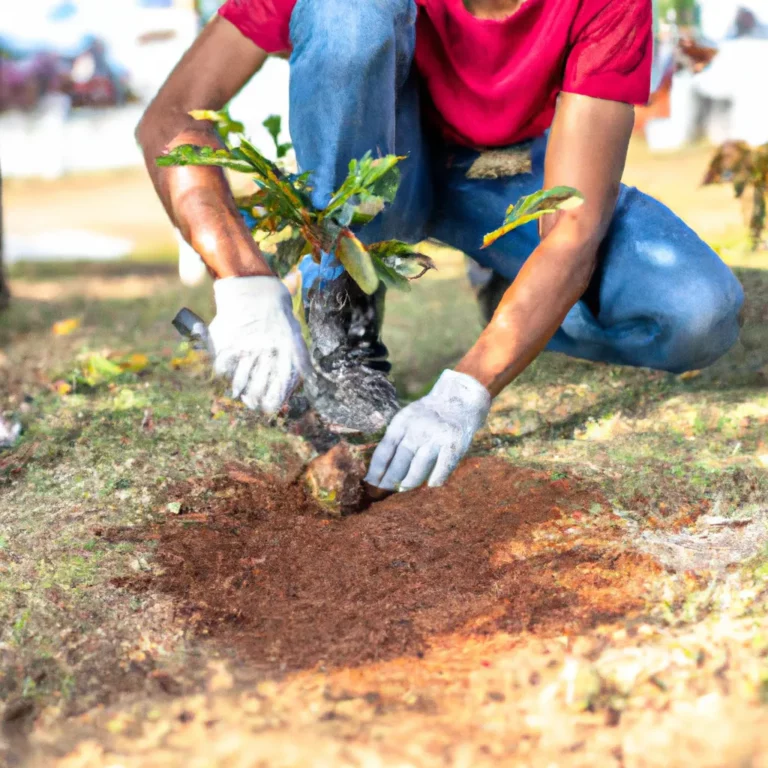 Descubra os Segredos para Plantar Nozes com Sucesso