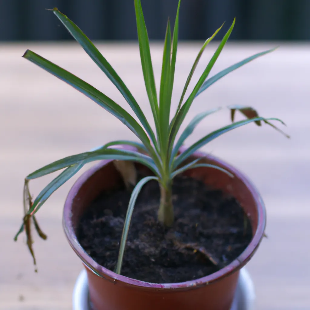 Desvendando Segredo: Plantando Yucca no Stranded Deep